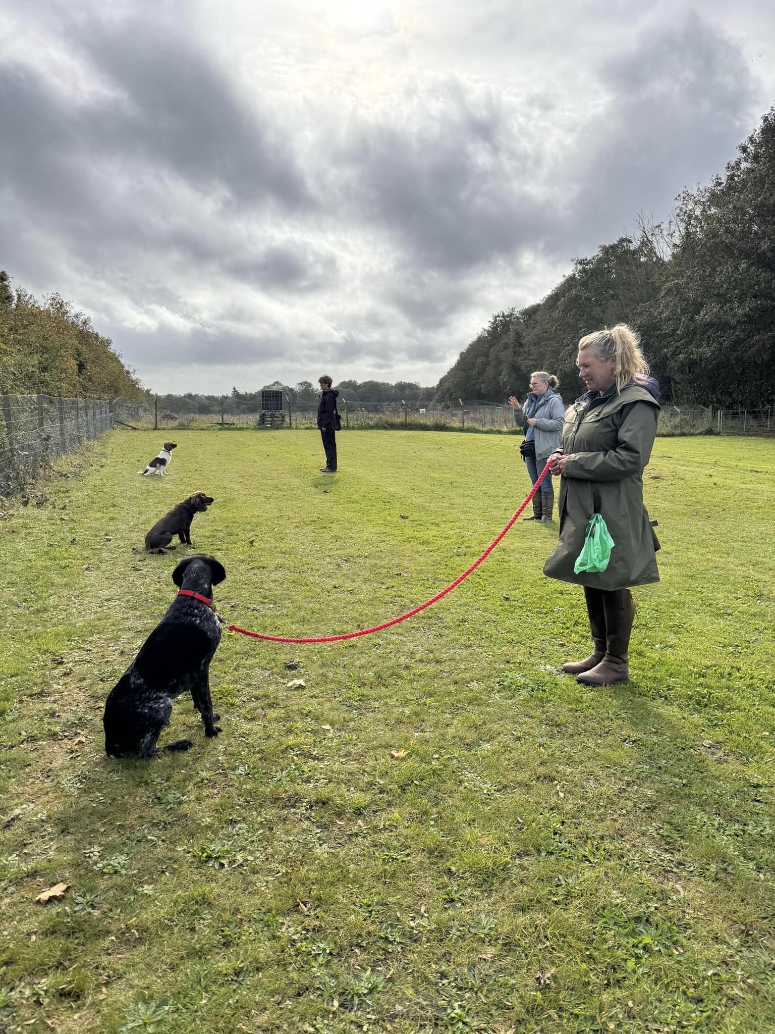 Gallery - Seadogs Training